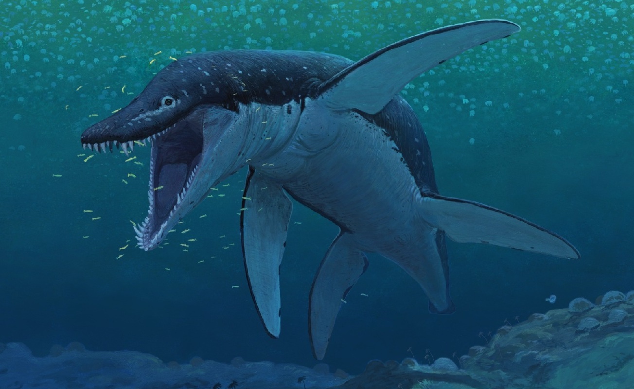 Nouveau pliosauridé : Lorrainosaurus – Dinozoïque : Tratayenia et ses ...