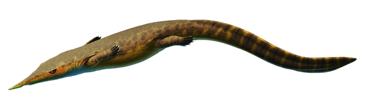 Révision taxonomique de Xinpusaurus – Dinozoïque : Tratayenia et ses ...